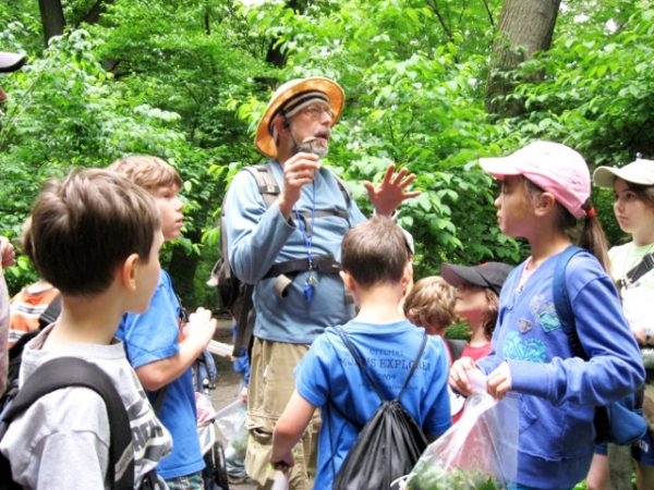 " WILD MAN" Steve Brill Foraging Tour - Pratt Nature Center