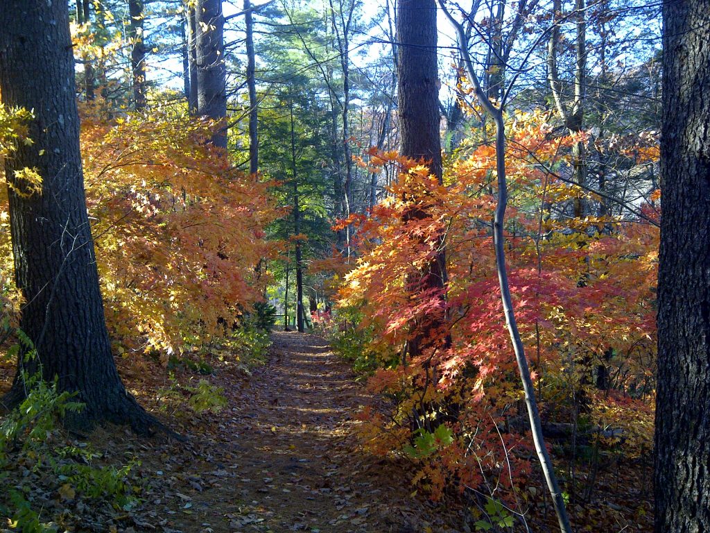 Trails/Hikes - Pratt Nature Center